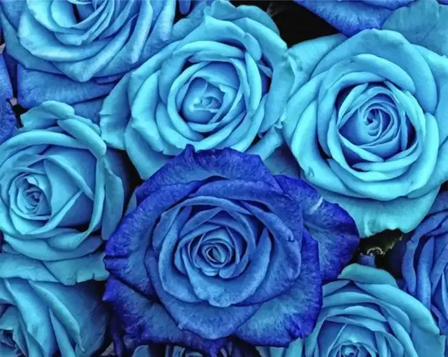 Blue Roses Diamond Painting Painting | Diamond Painting Kits