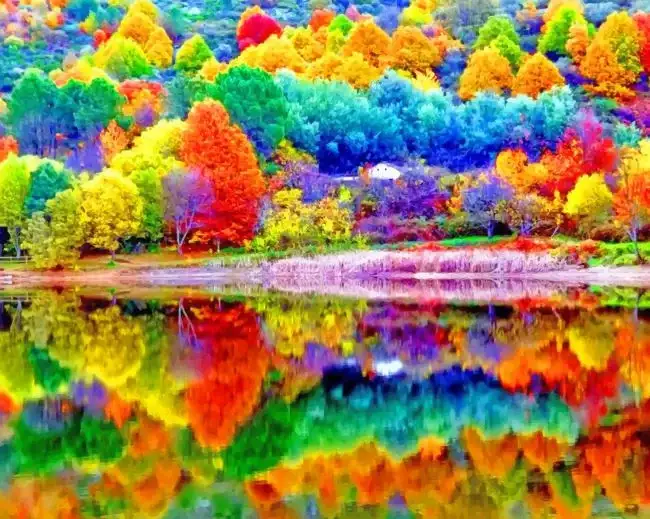 Colorful Trees Autumn Diamond Painting Painting | Diamond Painting Kits