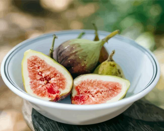 Figs Bowl Diamond Painting Painting | Diamond Painting Kits