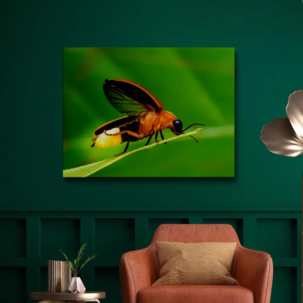 Firefly Diamond Painting | Diamond Painting Kits