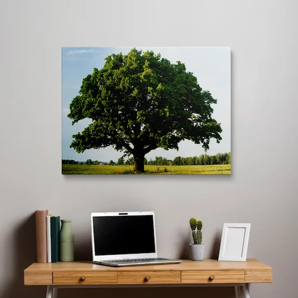 Oak Tree Diamond Painting | Diamond Painting Kits