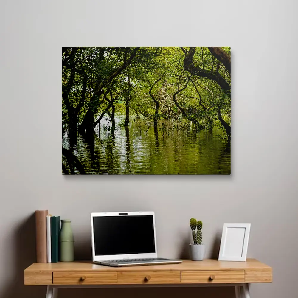 Swamp Diamond Painting | Diamond Painting Kits