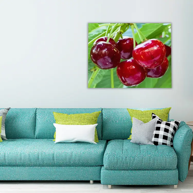Organic Cherries Diamond Painting Painting | Diamond Painting Kits